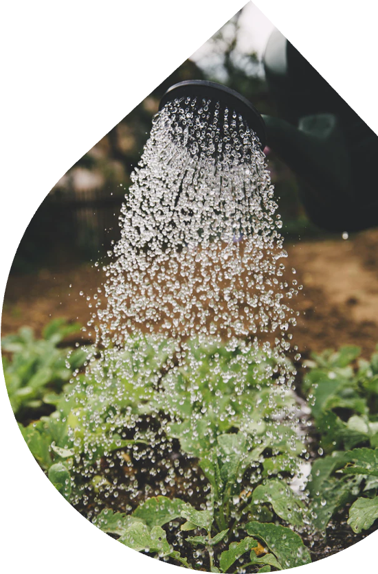 NuRain - AGS and GDM: A Powerful Duo